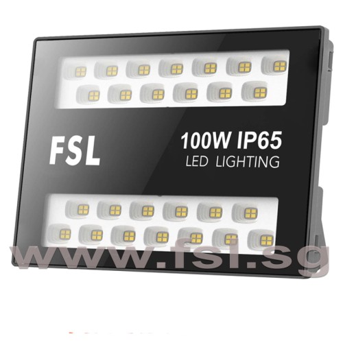 100W FSL FLOOD LIGHT